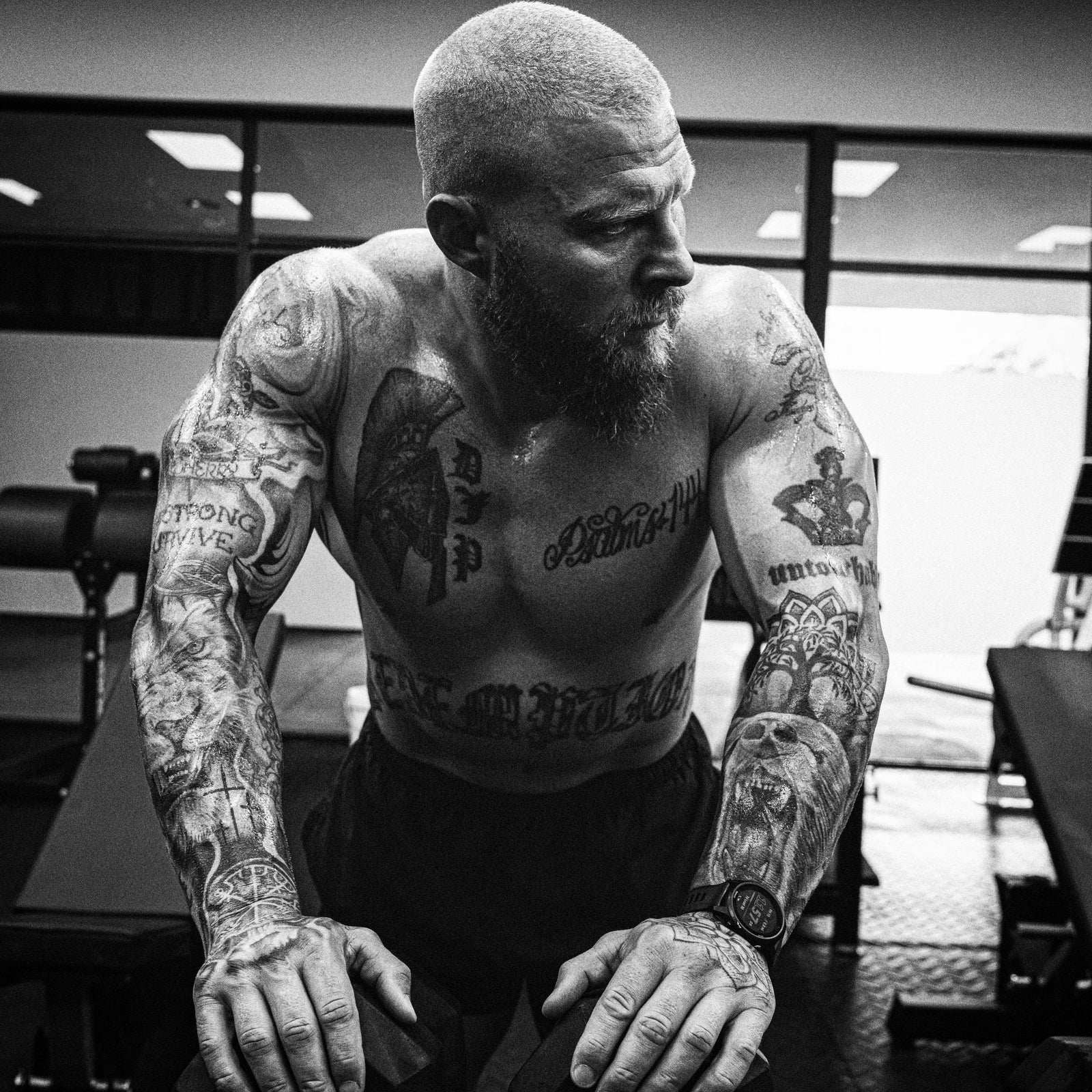 Daru Strong Nutrition